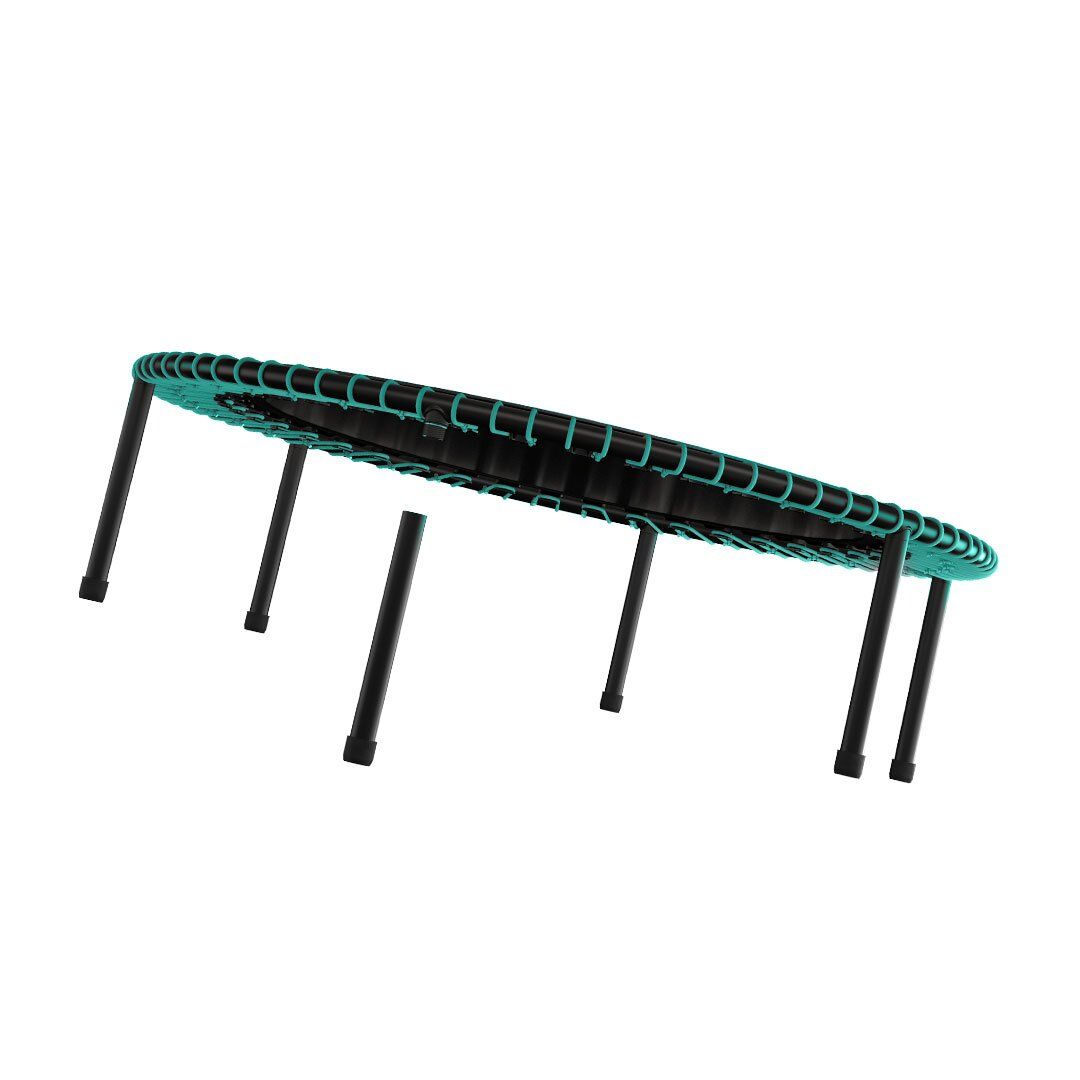 Mint bungees | bellicon